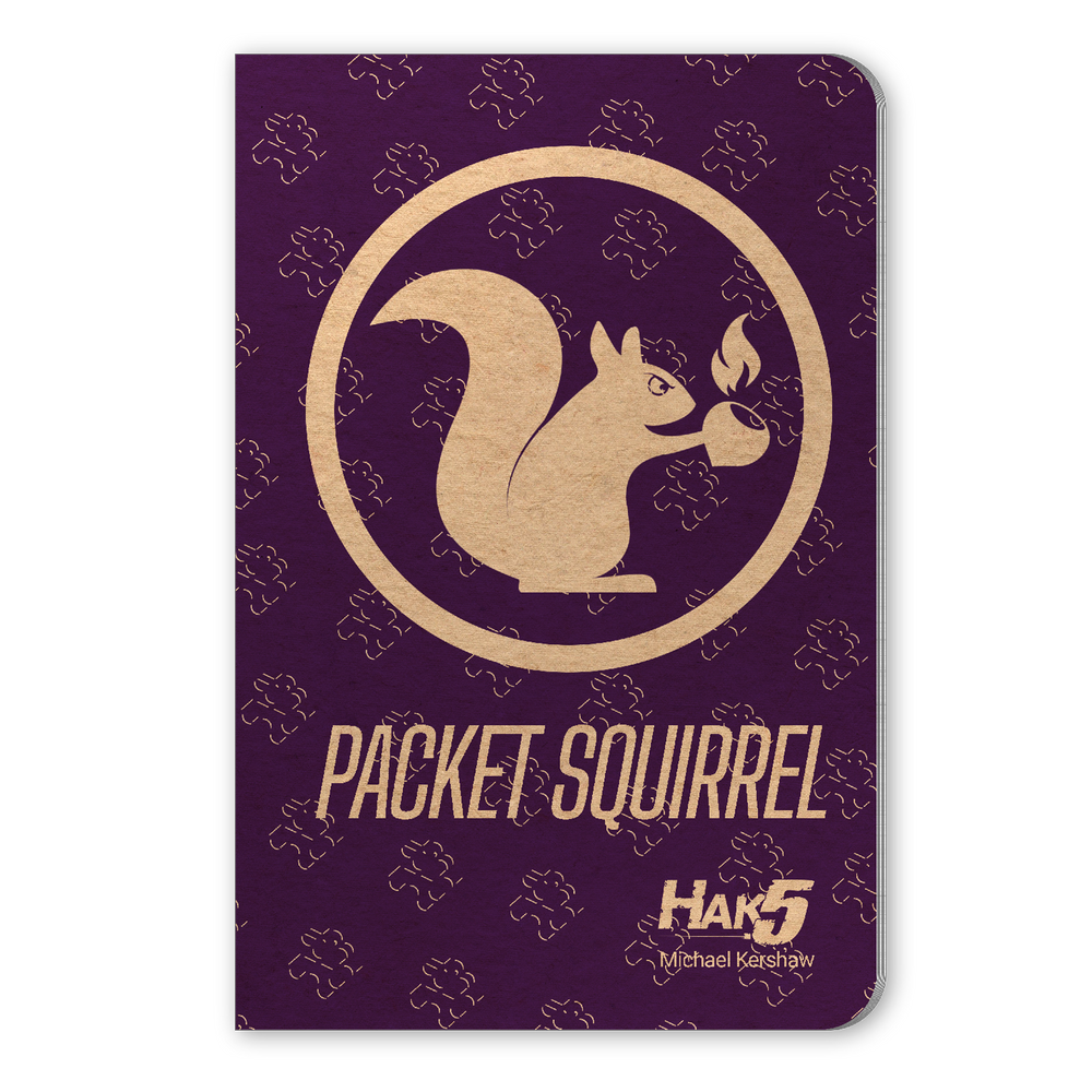 Hak5 Packet Squirrel Textbook — Lab401